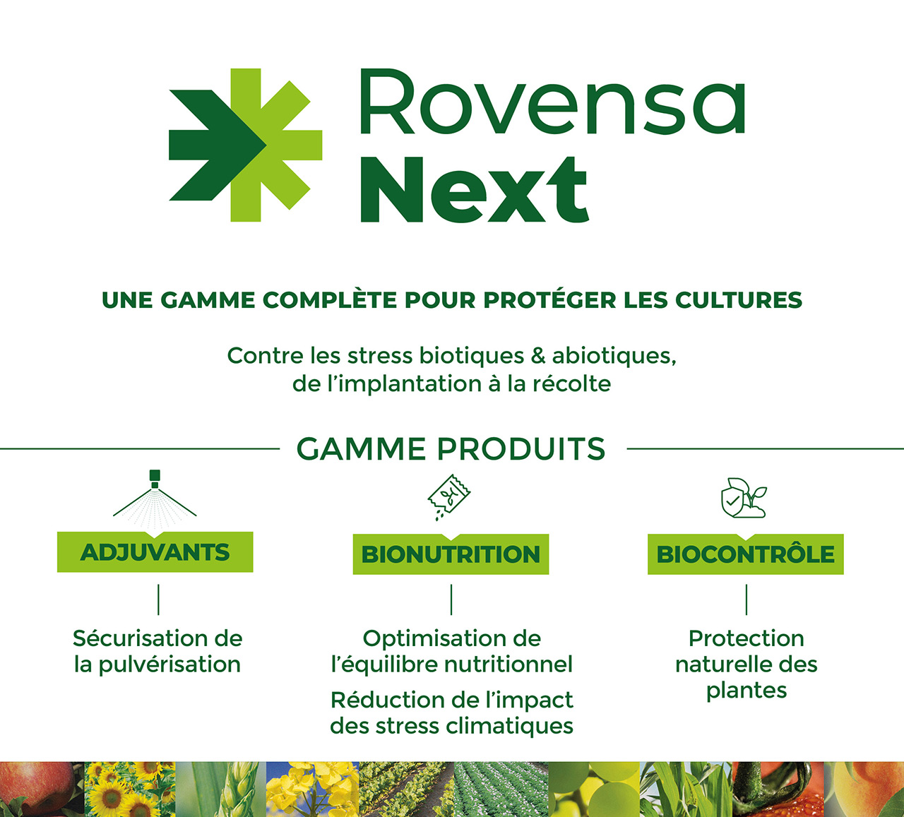 Rovensa Next: Rassembler des expertises | Rovensa Next France